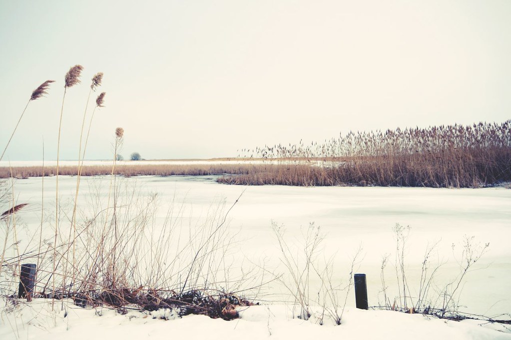 Frozen Cove — Fjords & Firths